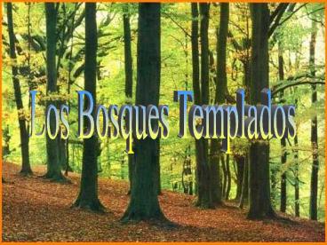 LOS BOSQUES TEMPLADOS presentation | free to view