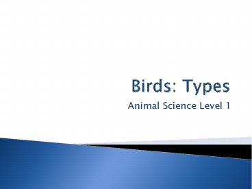 Birds: Types presentation | free to download