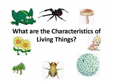 What are the Characteristics of Living Things? presentation | free to view