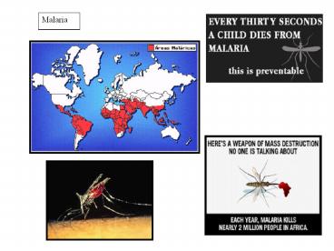 PPT – Malaria PowerPoint presentation | free to download - id: 502e16-NjRkY