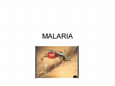 PPT – MALARIA PowerPoint presentation | free to view - id: 502e35-ZDhhZ