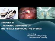 PPT – THE PHYSICAL EXAMINATION OF MALE AND FEMALE PELVIS PowerPoint ...