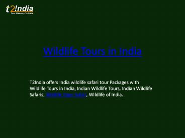 Indian Wildlife Tours presentation | free to download