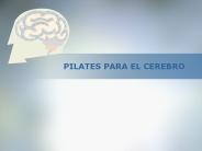 PPT – PDF Cómo funciona el cerebro: 'Descifrando el Enigma Cerebral: Un Viaje Fascinante a ...