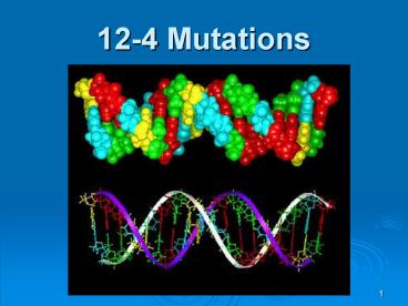 PPT – 12-4 Mutations PowerPoint presentation | free to download - id ...