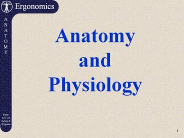 Anatomy and Physiology presentation | free to download