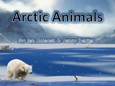 PPT – Arctic Animals PowerPoint presentation | free to download - id ...