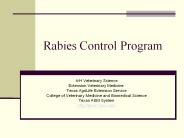 PPT – rabies PowerPoint presentation | free to download - id: 8427c2-YTY2O
