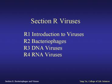Section R Viruses R1 Introduction to Viruses R2 Bacteriophages R3 DNA ...