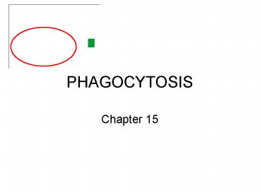 PHAGOCYTOSIS presentation | free to download