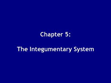 PPT – Chapter 5: The Integumentary System PowerPoint presentation ...