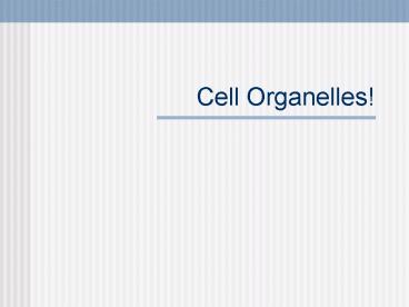 PPT – Cell Organelles! PowerPoint presentation | free to download - id ...