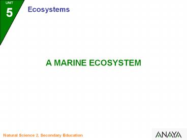 PPT – A MARINE ECOSYSTEM PowerPoint presentation | free to download ...