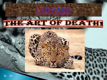 PPT – Leopard PowerPoint presentation | free to download - id: 535fc7-YmE4M