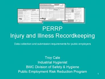 PERRP Injury and Illness Recordkeeping Data collection and submission ...