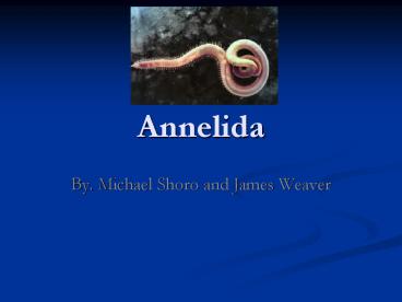 PPT – Annelida PowerPoint presentation | free to view - id: 5390ee-Y2JkM
