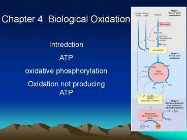 Chapter 4. Biological Oxidation presentation | free to view
