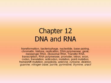 Chapter 12 DNA and RNA presentation | free to download