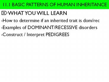 PPT – 11.1 BASIC PATTERNS OF HUMAN INHERITANCE PowerPoint presentation ...