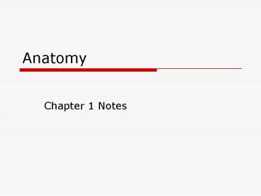 Anatomy presentation | free to view