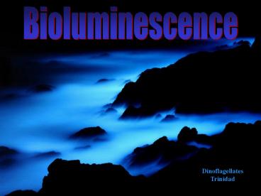 Bioluminescence presentation | free to view