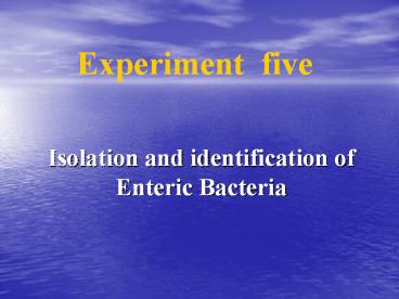 Isolation and identification of Enteric Bacteria presentation | free to ...