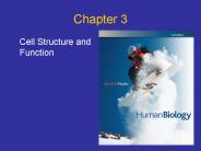 Cell Structure and Function presentation | free to download