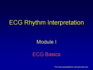 PPT – basics of ecg PowerPoint presentation | free to download - id ...
