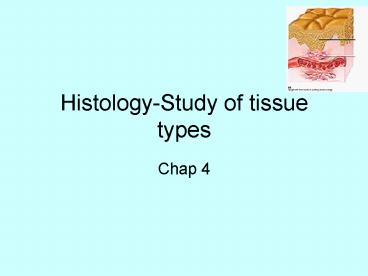 PPT – Histology-Study of tissue types PowerPoint presentation | free to ...