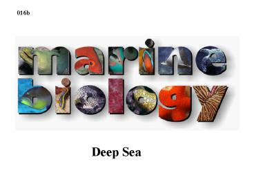 Deep Sea presentation | free to view