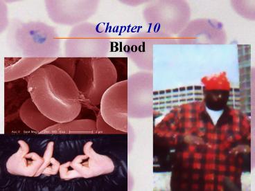 PPT – Chapter 10 Blood PowerPoint presentation | free to view - id ...
