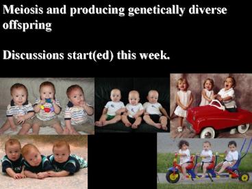 Meiosis and producing genetically diverse offspring presentation | free ...