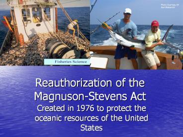 PPT – Reauthorization of the Magnuson-Stevens Act PowerPoint ...