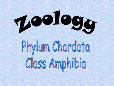 Zoology presentation | free to download
