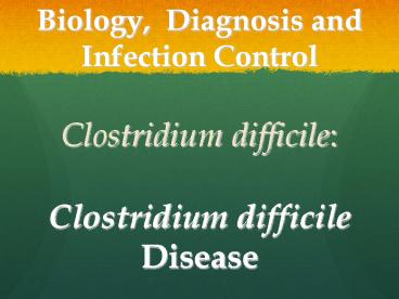 PPT – Clostridium difficile: PowerPoint presentation | free to view ...
