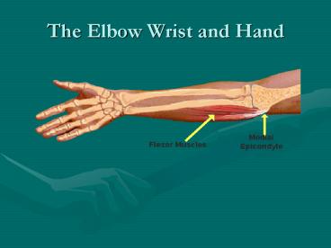 The Elbow Wrist and Hand presentation | free to view