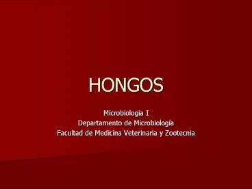 HONGOS presentation | free to download