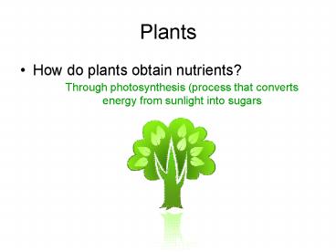 PPT – Plants PowerPoint presentation | free to view - id: 5880fe-YTIyM