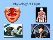 PPT – Principles of Flight PowerPoint presentation | free to view - id ...