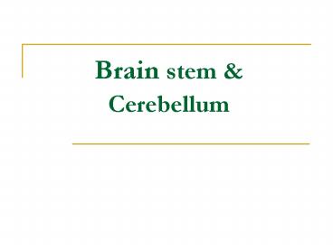 PPT – Brain stem PowerPoint presentation | free to view - id: 589b19-N2U0N