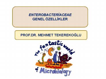 PPT – Enterobacteriaceae ailesinin genel PowerPoint presentation | free ...