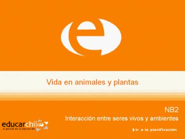 PPT – Vida en animales y plantas PowerPoint presentation | free to ...