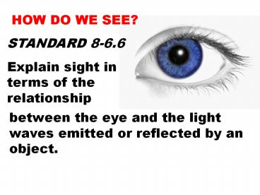 HOW DO WE SEE? presentation | free to view