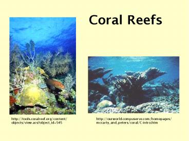 Coral Reefs presentation | free to download