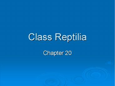 Class Reptilia presentation | free to download