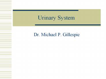 PPT – Urinary System PowerPoint presentation | free to download - id ...