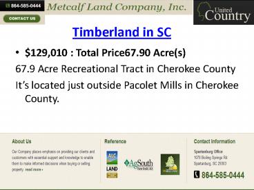 Timberland in SC - Metcalfland.com presentation | free to download
