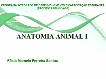 ANATOMIA ANIMAL I presentation | free to download
