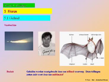Thema 1: Zintuigen presentation | free to view