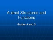 PPT – Animal Body Parts and Their Uses PowerPoint presentation | free ...